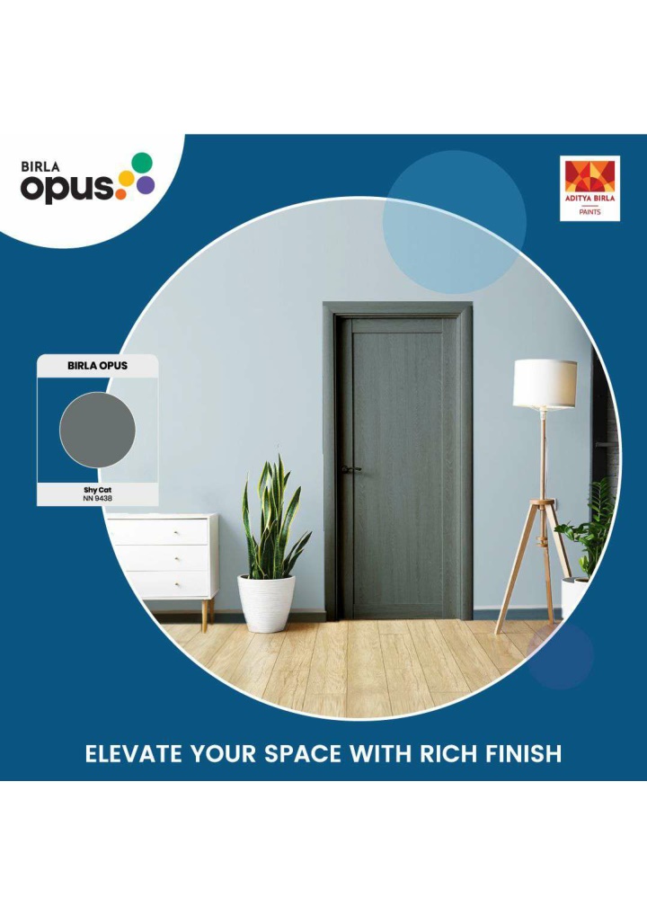 PPT - Interior Wall Colour Selection Guide for Beautiful Spaces - Birla ...