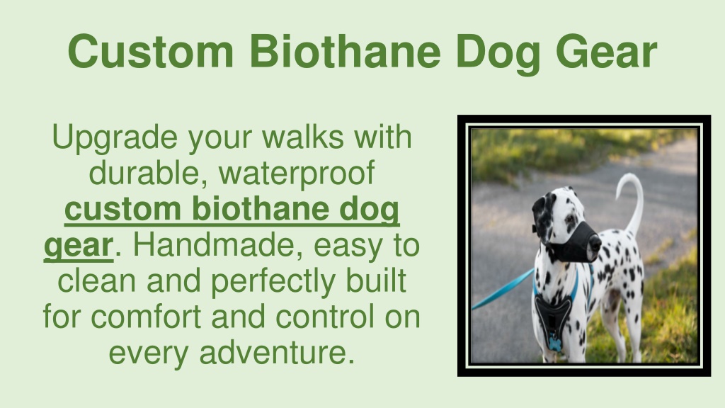 PPT - Custom Biothane Dog Gear PowerPoint Presentation, free download ...
