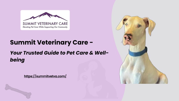 PPT - Summit Veterinary Care – Compassionate & Comprehensive Pet ...