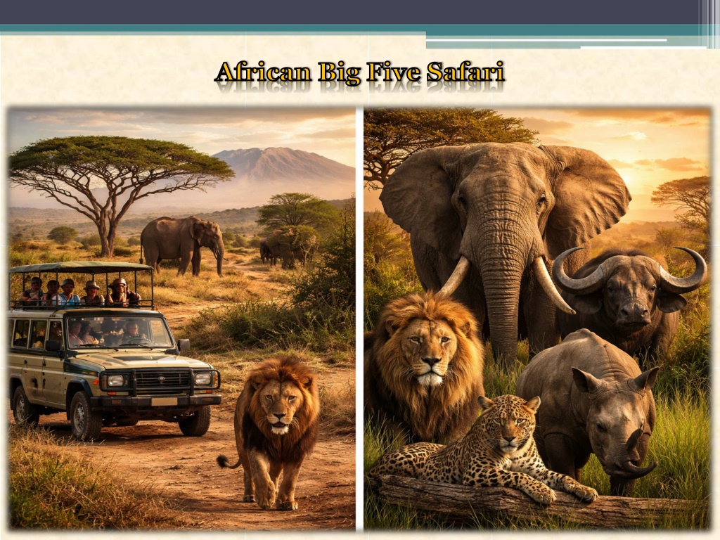 PPT - African Big Five Safari PowerPoint Presentation, free download ...