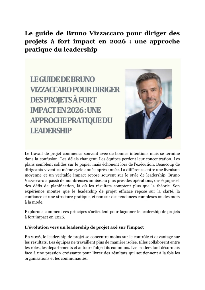 PPT - Le guide de Bruno Vizzaccaro pour diriger des projets à fort ...