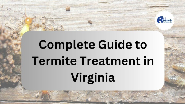 PPT - Complete Guide to Termite Treatment in Virginia PowerPoint ...